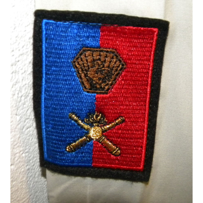 Chemise de TDF Homme Armée française Occasion + Insigne de la Brigade d ...